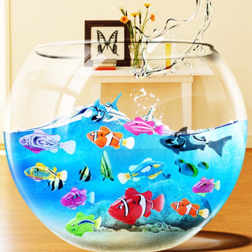 Battery Powered Fish Toys - Kid Loves Toys